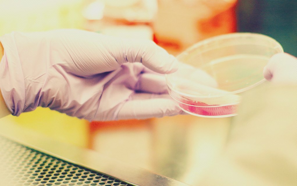 The mechanics of UTI under a microscope - Stop UTI Forever